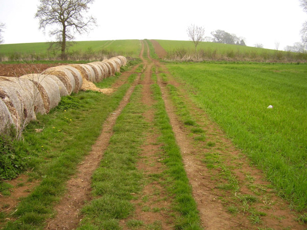 Rycote dog walk and historic chapel, Oxfordshire - Driving with Dogs
