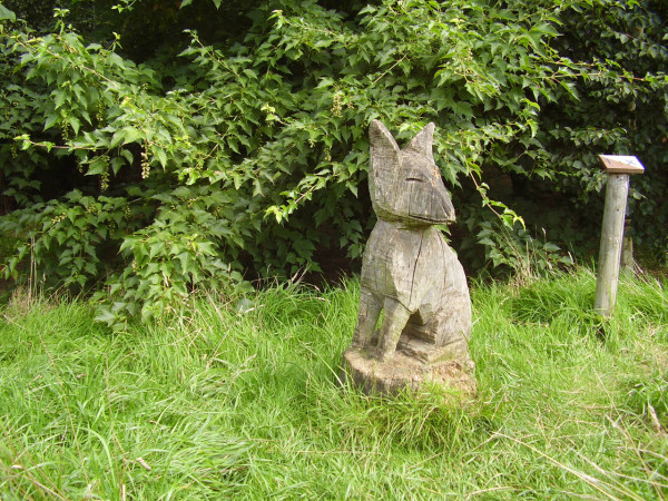 A6 country park dog walks near Blaby, Leicestershire - Driving with Dogs