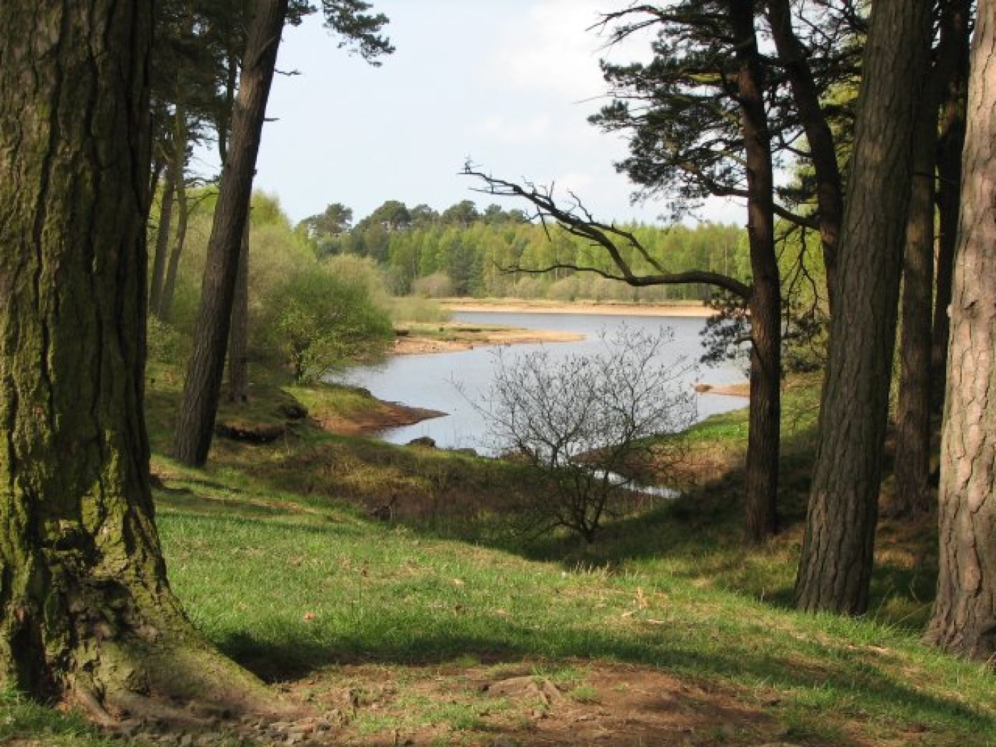 Harlaw Reservoir dog walk near Edinburgh, Scotland - Driving with Dogs