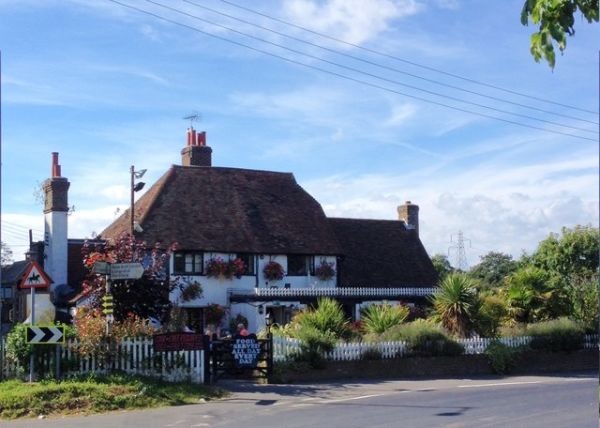 M20 Junction 2 country pub and dog walk, Kent - Driving with Dogs
