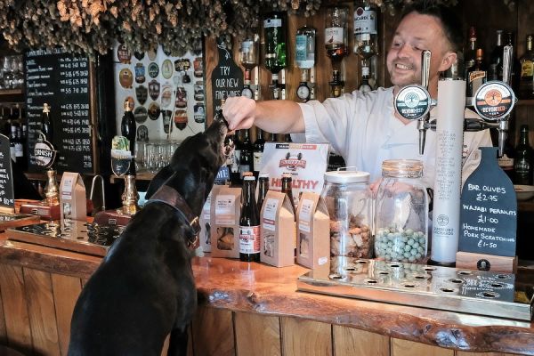 Dog-friendly pub near Simonsbath, Devon - Driving with Dogs