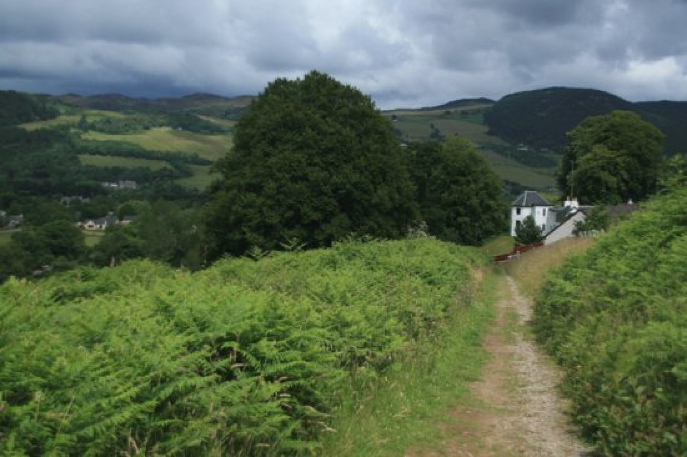 A82 dog-friendly hotel and dog walk near Loch Ness, Scotland - Driving ...