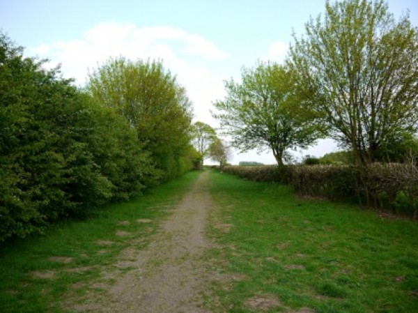 Lotherton Hall Winter dog walk and cafe, West Yorkshire - Driving with Dogs