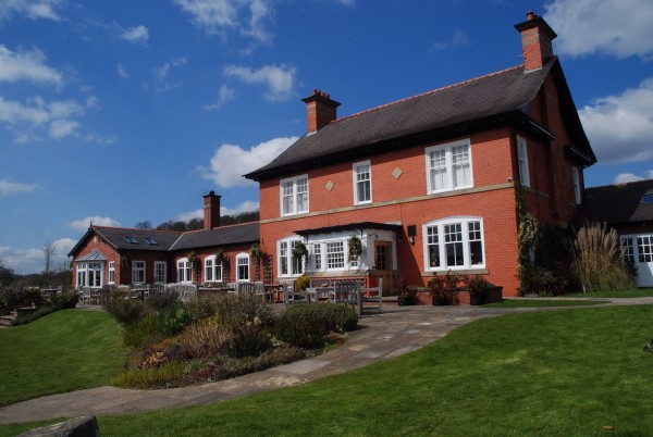 Mold dog-friendly pub and dog walk, Wales - Driving with Dogs