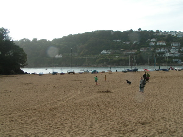 Mill Bay dog-friendly beach, Devon - Driving with Dogs