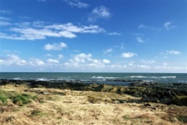 Ballyhalbert dog-friendly beach, NI - Driving with Dogs