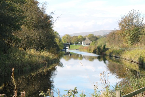 M80 Junction 6a dog walk near Banknock, Scotland - Driving with Dogs