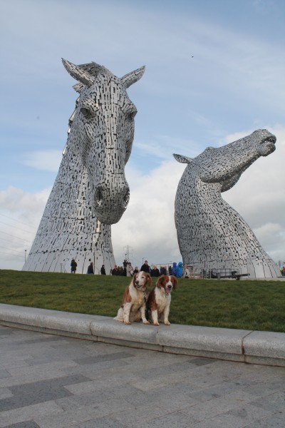 A9 canalside dog walk in Falkirk, Scotland - Driving with Dogs