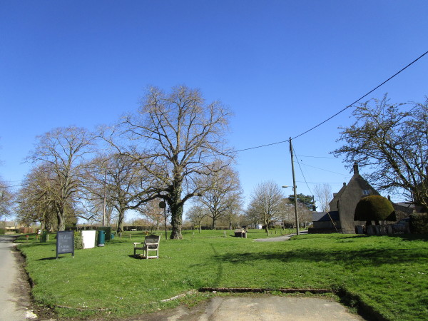 Evenlode Valley dog walk and a dog-friendly pub for refreshment ...