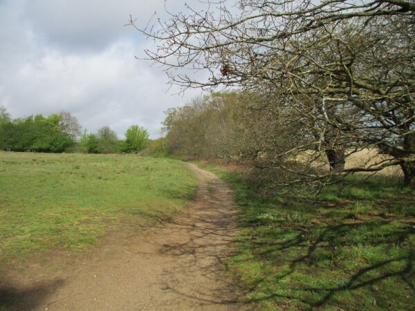 Meadow and river path dog walk near Snape, Suffolk - Driving with Dogs