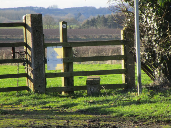 Staverton dog-friendly pub and dog walk, Northamptonshire - Driving ...