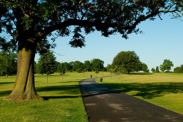 Brockwell Park dog walks, Herne Hill, Greater London - Driving with Dogs