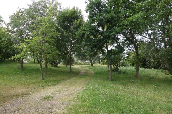 Shaded Park and Beach access near Roscoff Ferry, Brittany, France ...