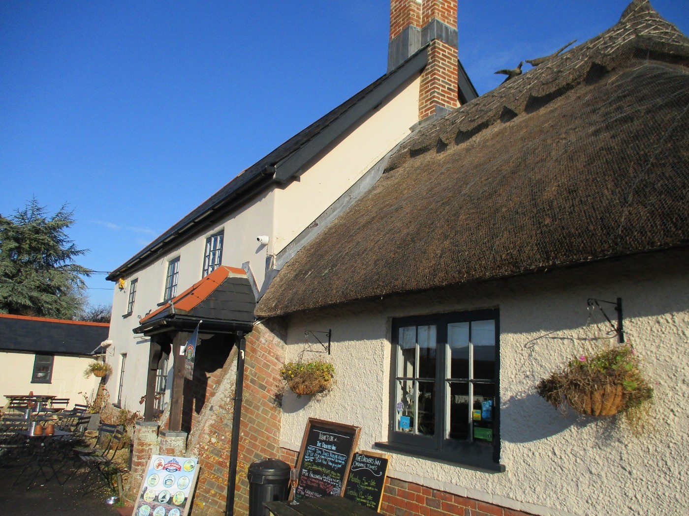Dog friendly Community Pub Near Wimborne Dorset Driving With Dogs dog-friendly-community-pub-near-wimborne-dorset-driving-with-dogs
