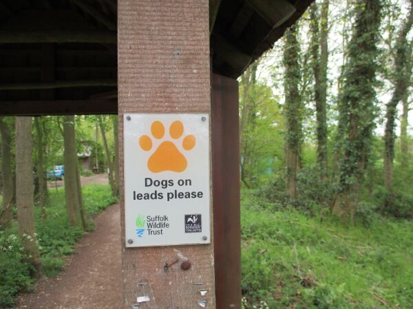 Woodland dog walk near Felsham, Suffolk - Driving with Dogs
