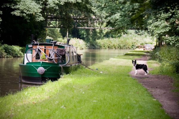 Preparing your dog for a canal boat holiday - Driving with Dogs