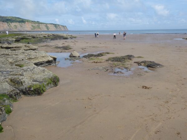 A171 Boggle Hole dog walk and cafe, North Yorkshire - Driving with Dogs