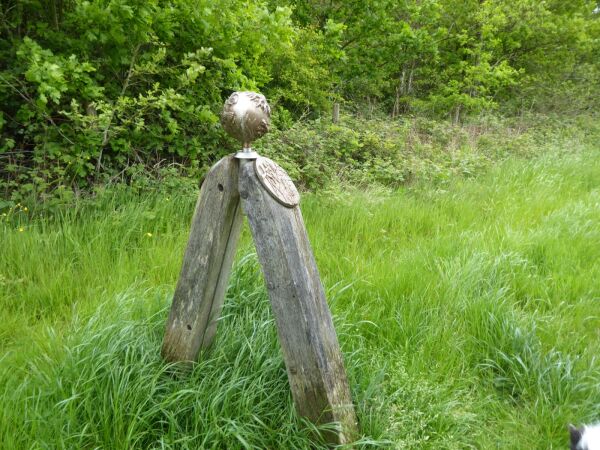 Apedale country park dog walk near Stoke, Staffordshire - Driving with Dogs