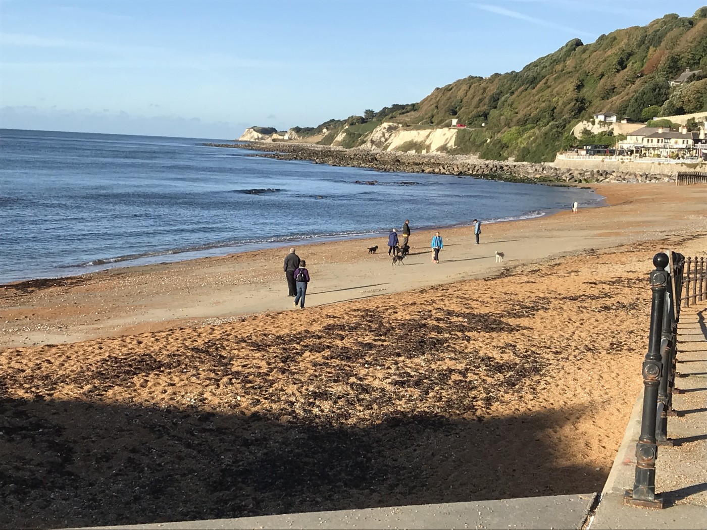 Ventnor Beach along The Esplanade, Isle of Wight - Driving with Dogs